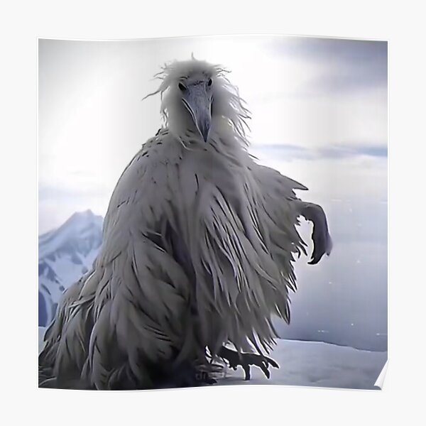 "Luh Calm Fit - Opium Bird - Erosion Bird" Poster for Sale by Edis257 ...