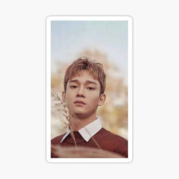 "Chen" Sticker for Sale by baekgie29 | Redbubble