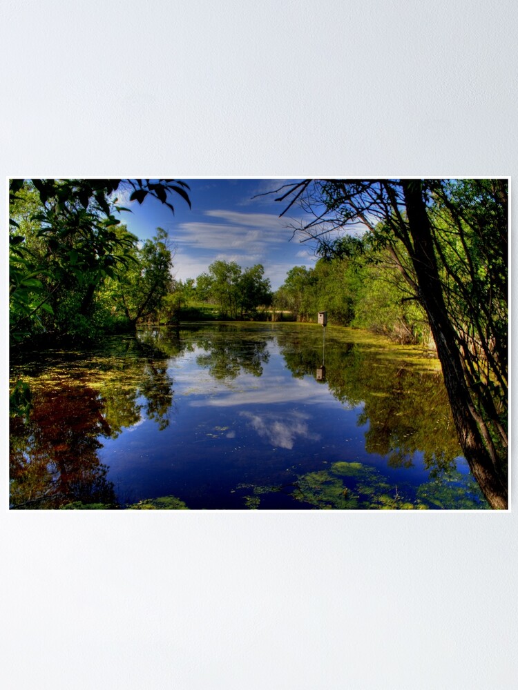 ""The Marsh"" Poster by umpa1 | Redbubble