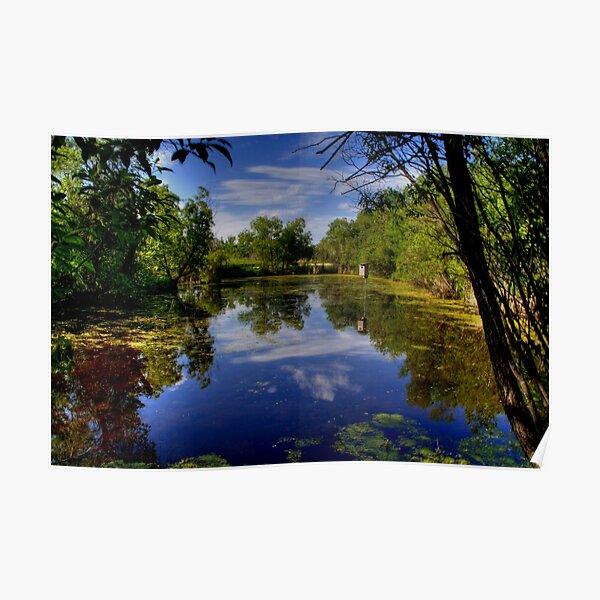 ""The Marsh"" Poster by umpa1 | Redbubble