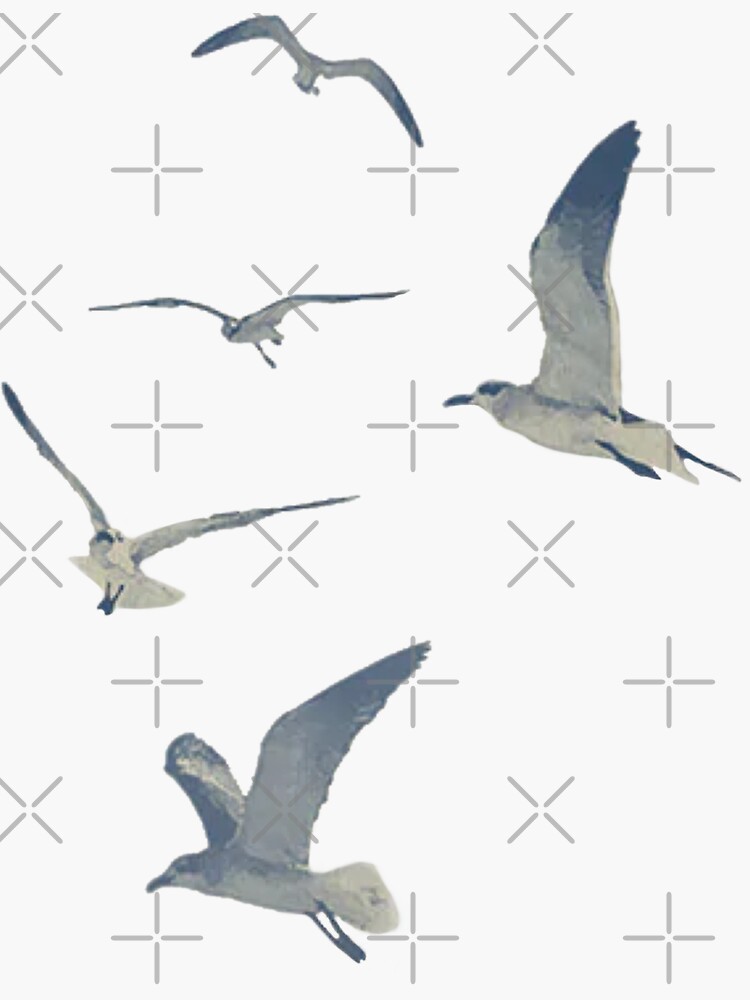 "seagulls" Sticker for Sale by envytheleaves | Redbubble