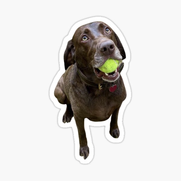 UP Stickers Co Shop | Redbubble