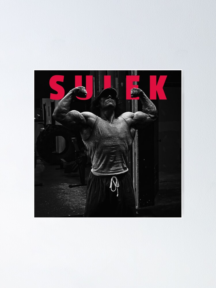 "Sam Sulek Inspiration" Poster for Sale by shoxio | Redbubble