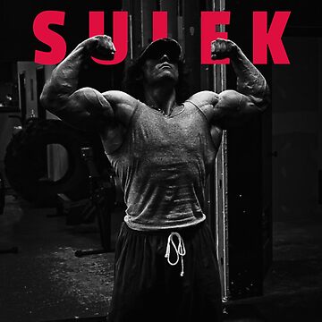 "Sam Sulek Inspiration" Poster for Sale by shoxio | Redbubble