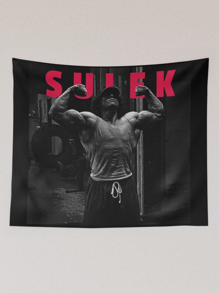 "Sam Sulek Inspiration" Tapestry for Sale by shoxio | Redbubble