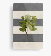 Metal Prints | Redbubble