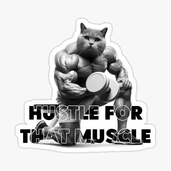 "Cat slave - The Muscular cat - Hustle for that muscle - Cat meme ...