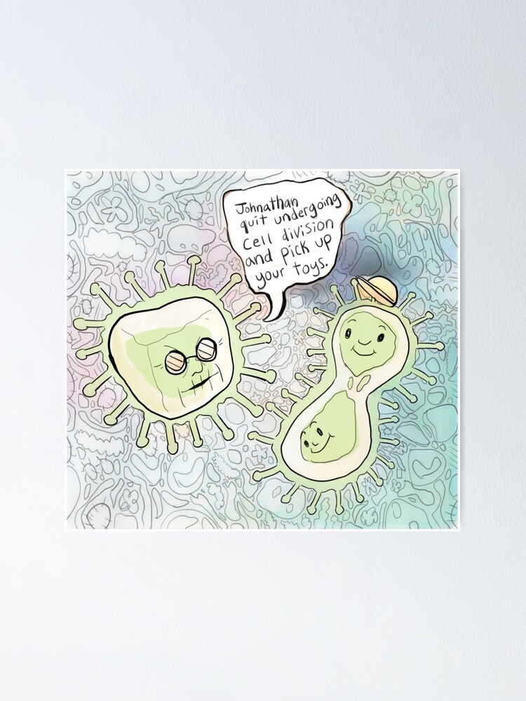 Cell Division Comic
