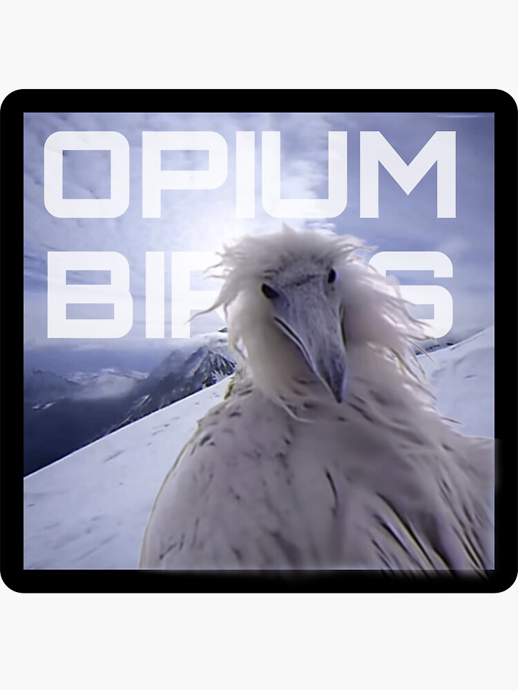 "2027 Opium Birds Meme - Shitpost Broken Humor - Creepy Birds Ice ...