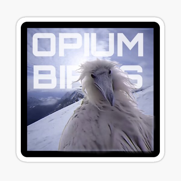 "2027 Opium Birds Meme - Shitpost Broken Humor - Creepy Birds Ice ...