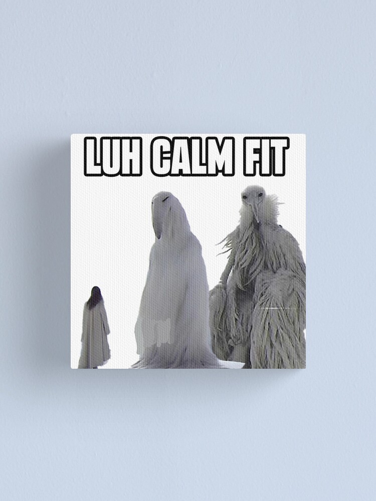 Fit Bird Memes