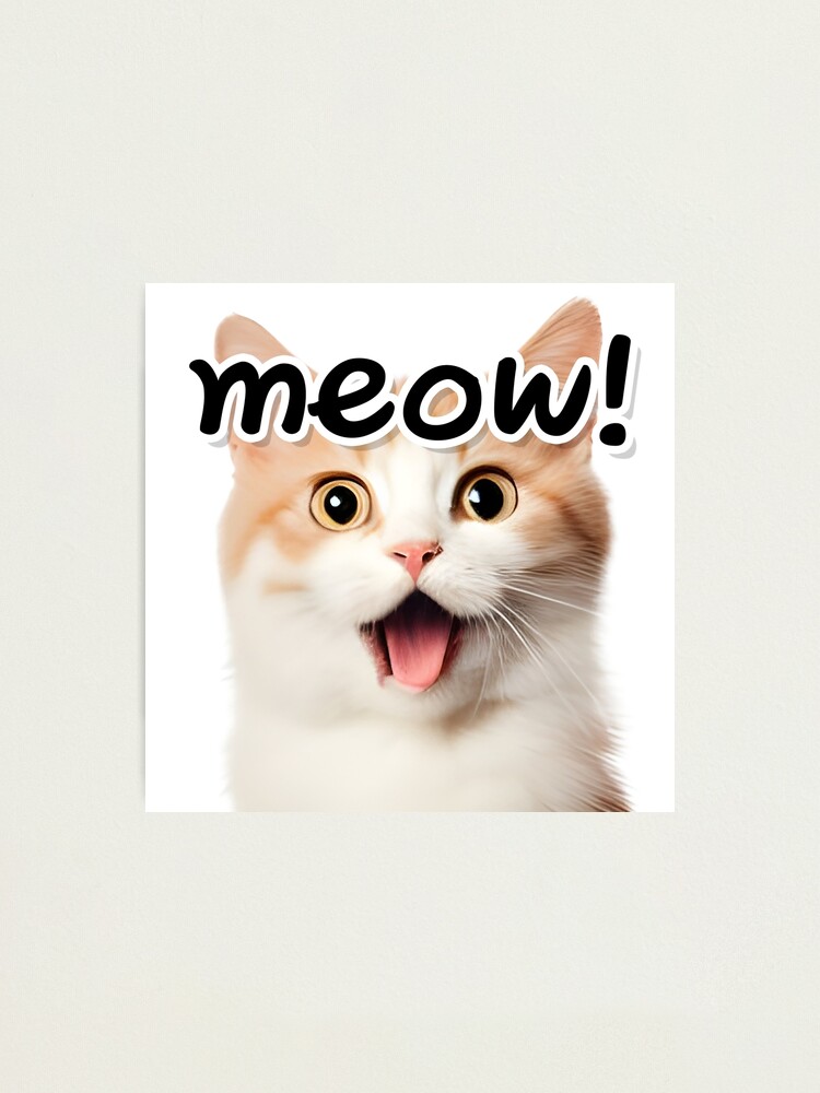 "meow memes funny cat" Photographic Print for Sale by Natthajira ...