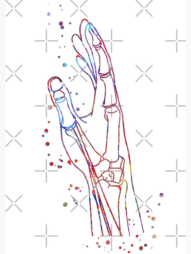 Cuaderno de espiral «Mano, anatomía de la mano, anatomía, mano de la ...