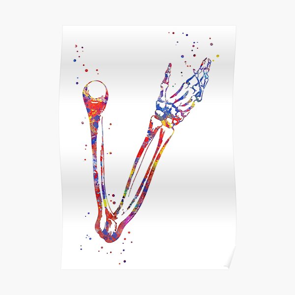 "Arm, arm anatomy, arm print, anatomy, watercolor arms, arms art ...