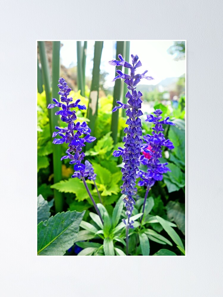 "Spire Trio " Poster for Sale by Robert Meyers-Lussier | Redbubble