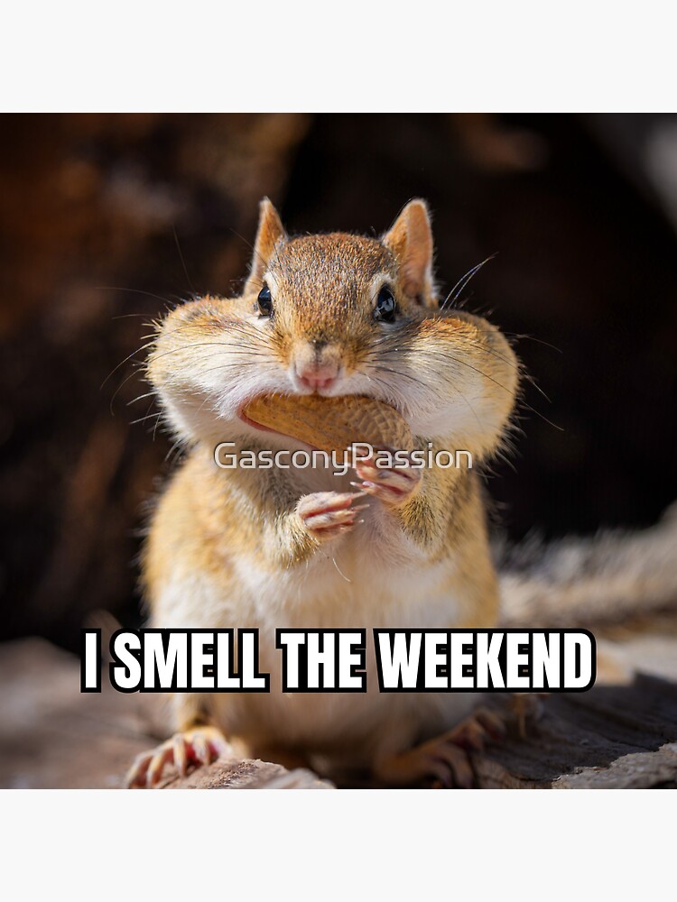 "I smell the weekend" Sticker for Sale by GasconyPassion | Redbubble