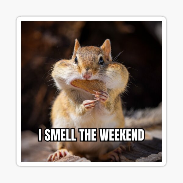 "I smell the weekend" Sticker for Sale by GasconyPassion | Redbubble