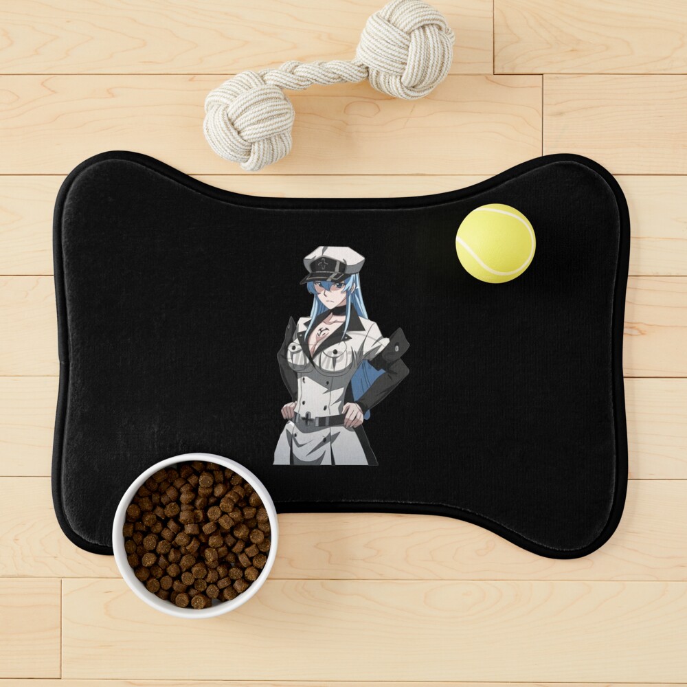 " Esdeath - Akame Ga Kill" Sticker for Sale by davanshatry1 | Redbubble