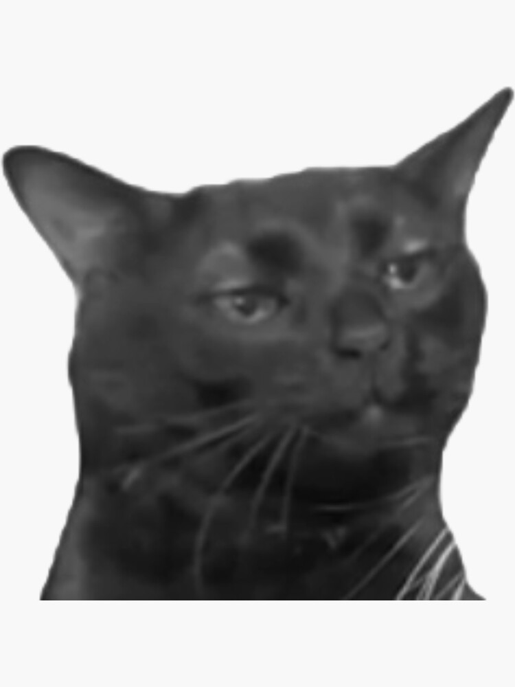 "Black cat meme" Sticker by Plume2030 | Redbubble