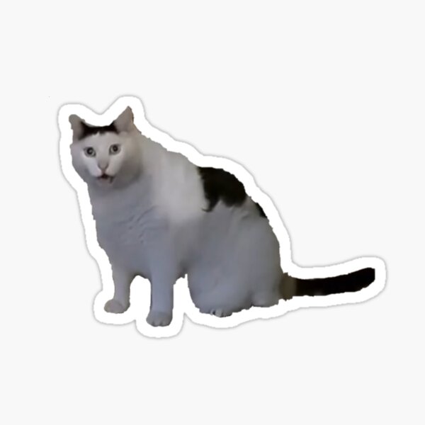 "huh cat" Sticker for Sale by tadeski | Redbubble