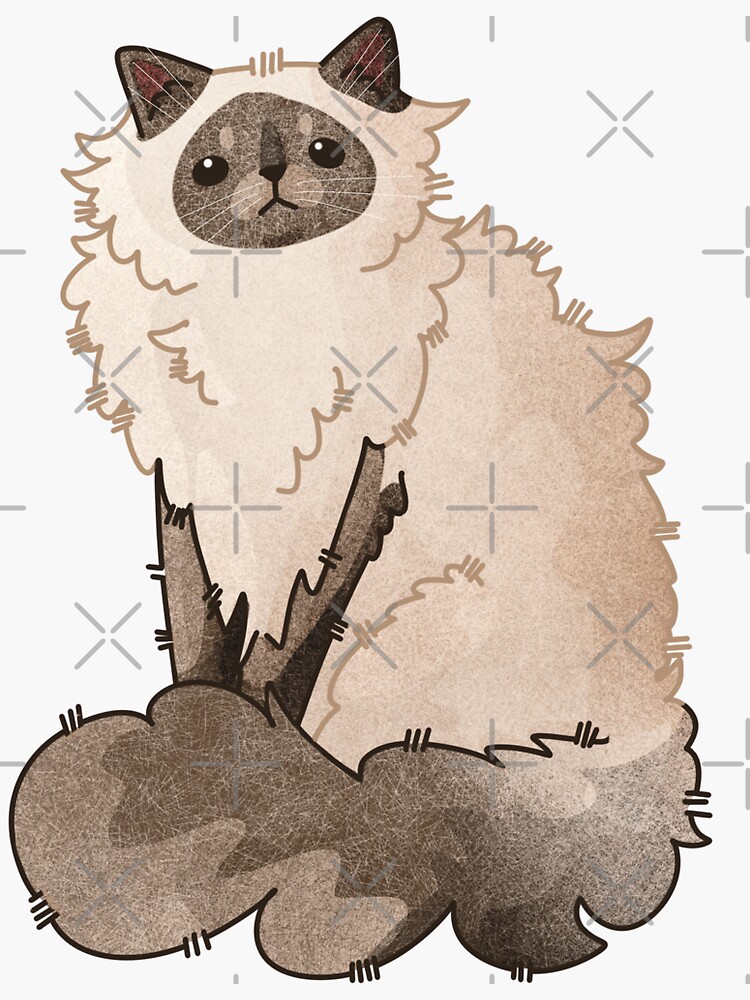 "Chocolate Point Persian Cat - Cat lovers gifts" Sticker for Sale by ...