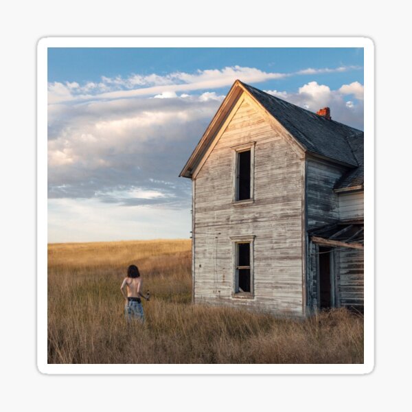 "Jane Remover Census Designated Album Cover" Sticker for Sale by ...