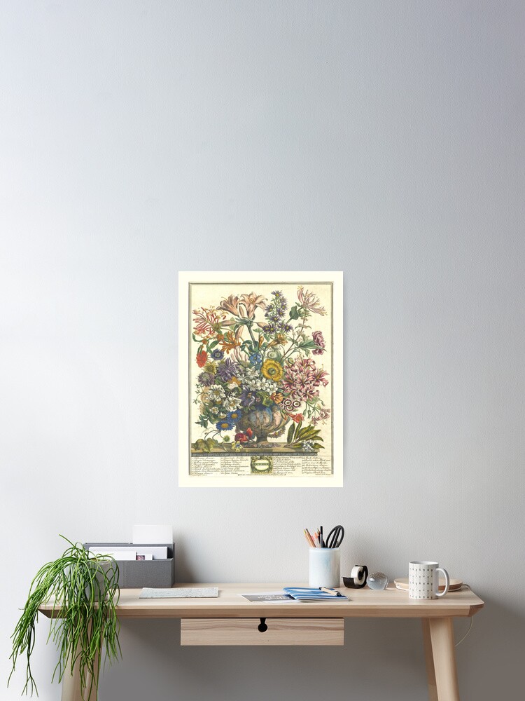 "October, from The Twelve Months of Flowers, by Robert Furber (1732 ...
