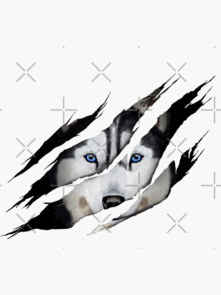 "Siberian Husky Design, Claw marks" Sticker by RomanDigitalArt | Redbubble