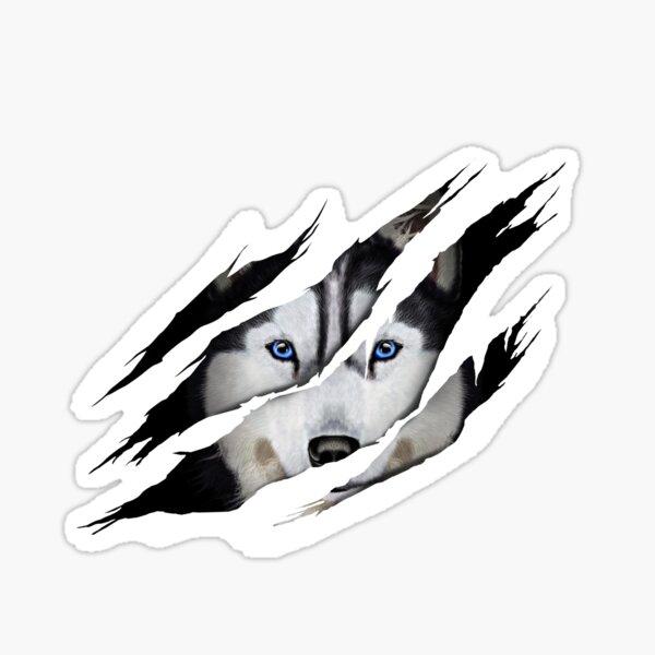 "Siberian Husky Design, Claw marks" Sticker by RomanDigitalArt | Redbubble