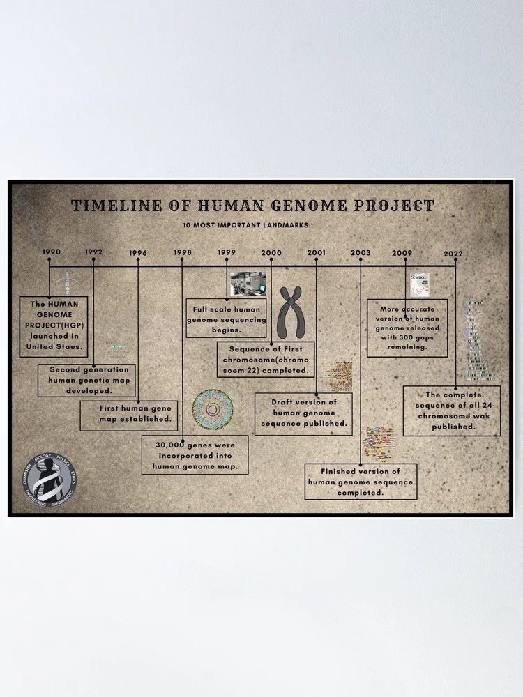 Human Genome Project Poster The Human Genome Project (HGP)