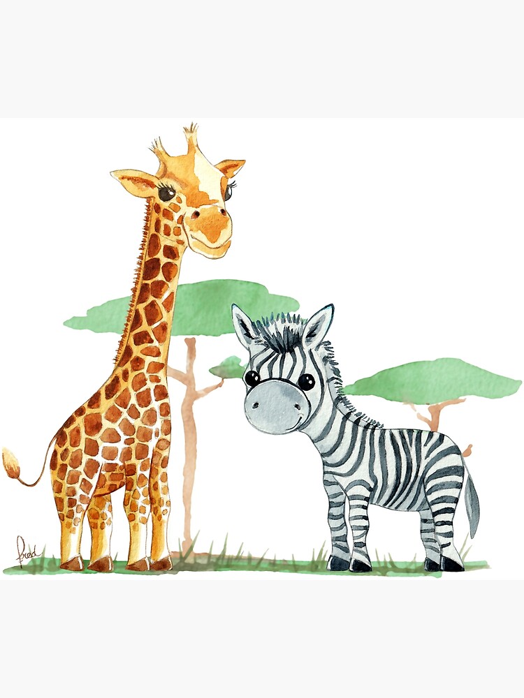 Baby Zebras And Giraffes