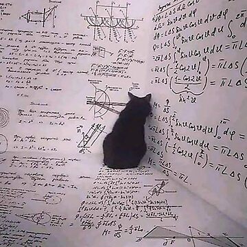 "Feline Equation: Black Cat Delving into Math" Sticker for Sale by ...