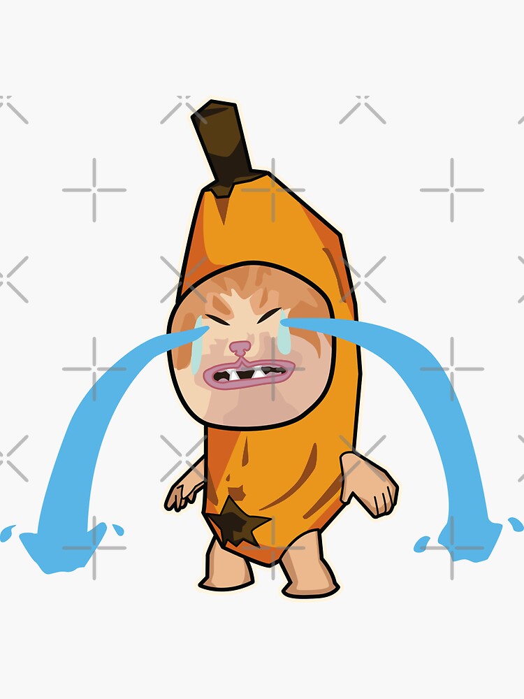 "ORANGE sad cry banana cat - happy hapi cat meme" Sticker for Sale by ...