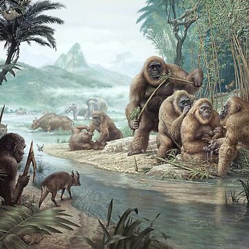 "Gigantopithecus with Homo erectus (C010/8410)" Sticker for Sale by ...