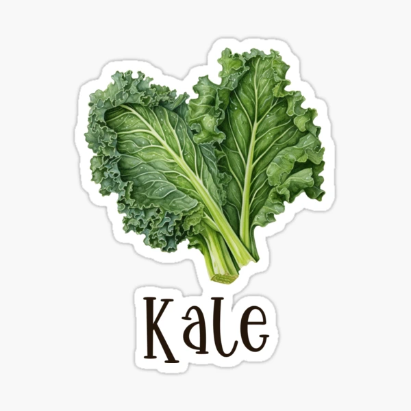 Tekening Kale Eik