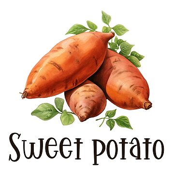 "Sweet potato Illustration" Sticker for Sale by Sketch-Shack | Redbubble