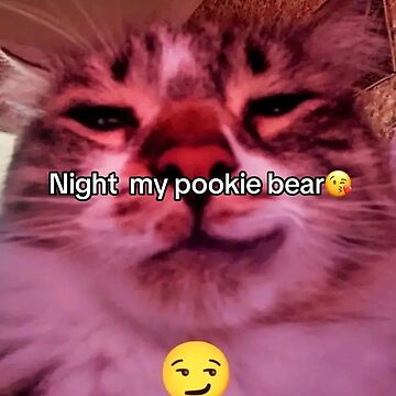 "Night my pookie bear ?" Sticker for Sale by LoveIsOnlyYours | Redbubble