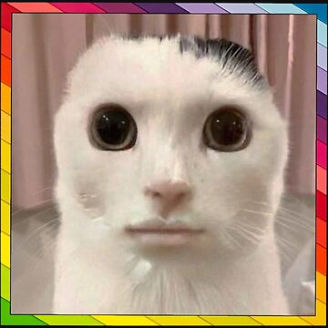 "Goofy Ahh Cat in Rainbow Frame Premium " Sticker for Sale by sorianom ...