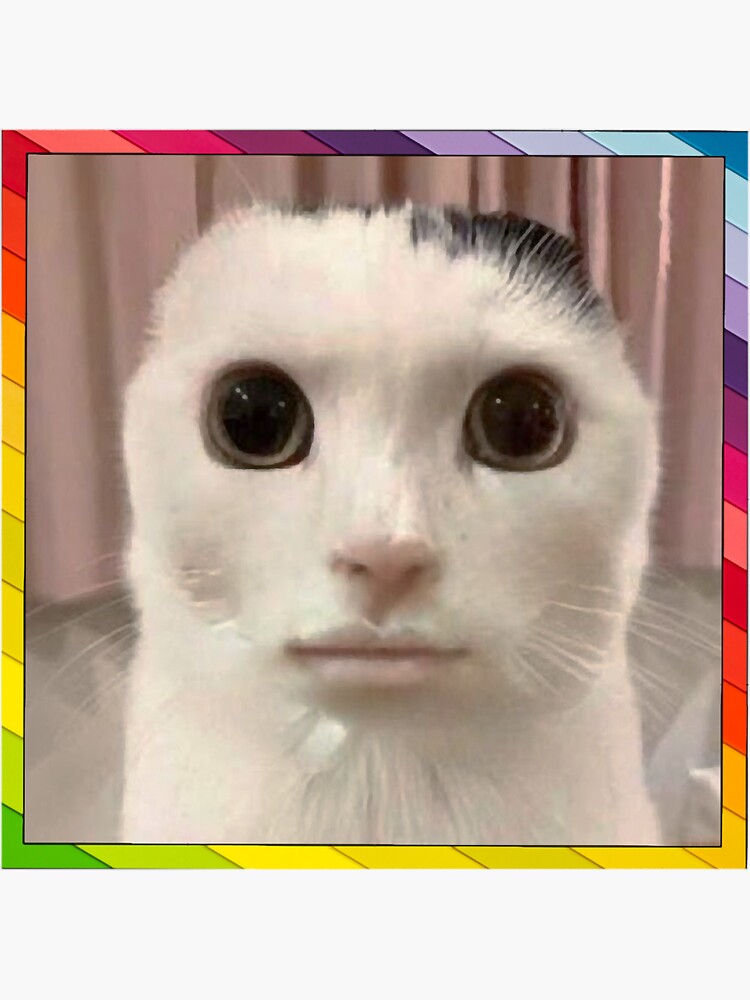 "Goofy Ahh Cat in Rainbow Frame Premium " Sticker for Sale by sorianom | Redbubble