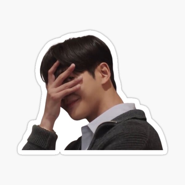 Rowoon Merch & Gifts for Sale | Redbubble