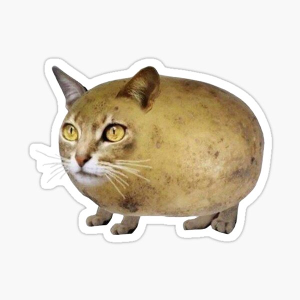 "Potato Cat" Sticker for Sale by TheOrangeCat | Redbubble