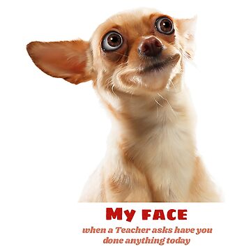 Dog Meme Anything For You