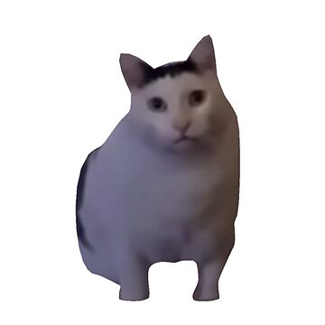 "Huh Cat Meme" Poster for Sale by savrh | Redbubble