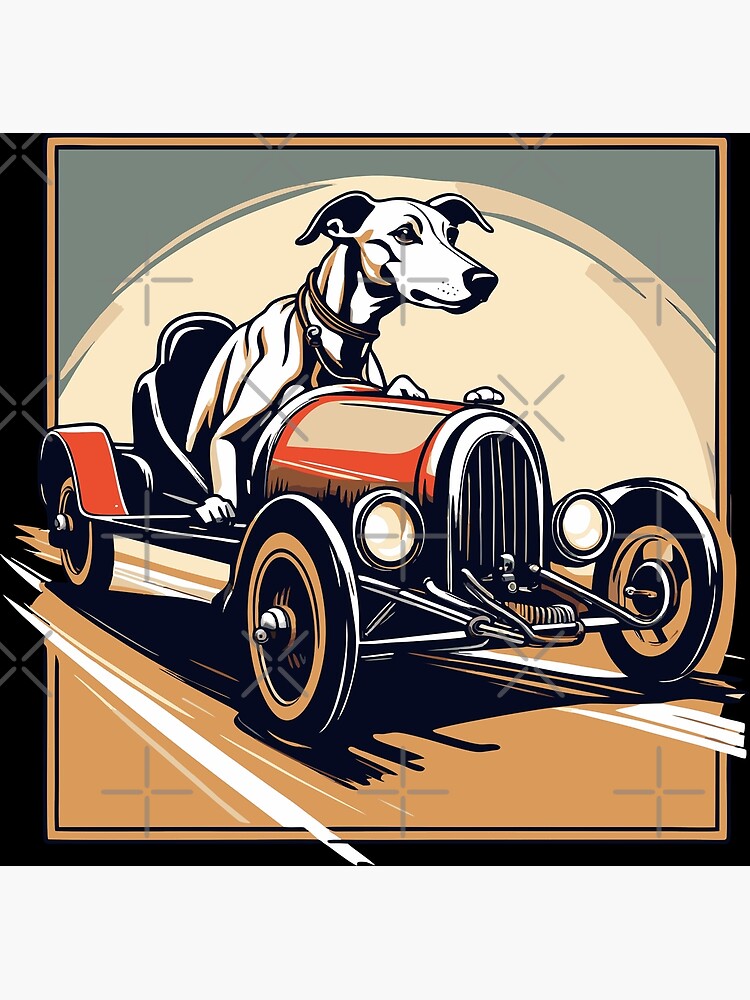 "Whippet Greyhound Driving a Vintage Racing Car" Poster for Sale by ...