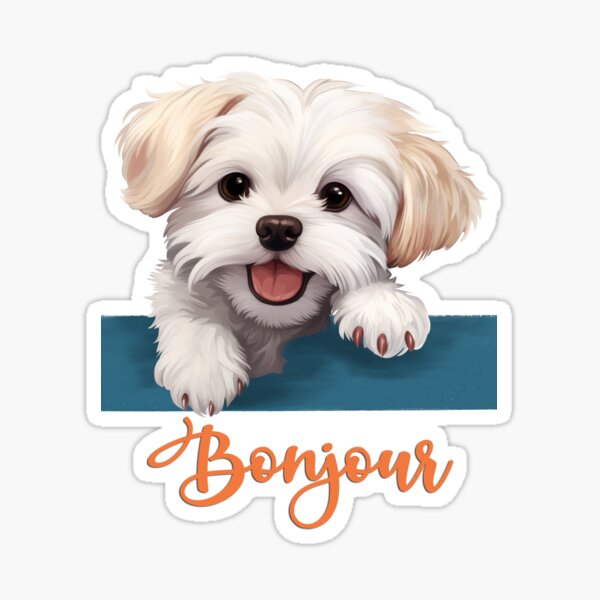 "Maltese Bichon dog (Maltese), dog head drawing for teeshirt pocket ...