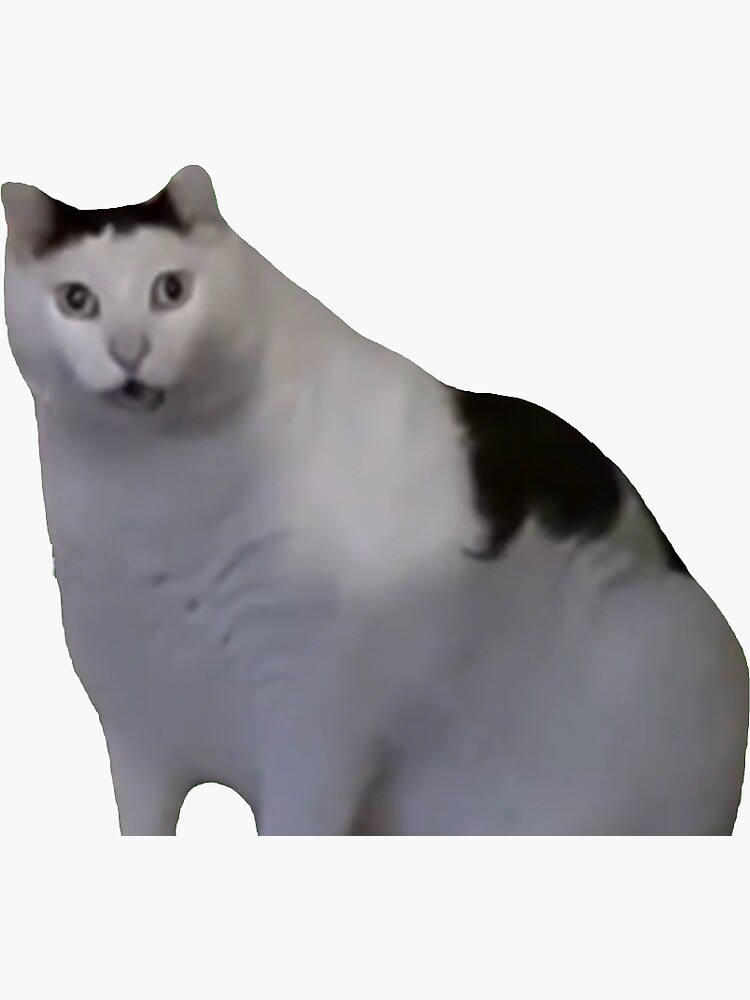 "Huh cat side on " Sticker for Sale by rbuser4 | Redbubble