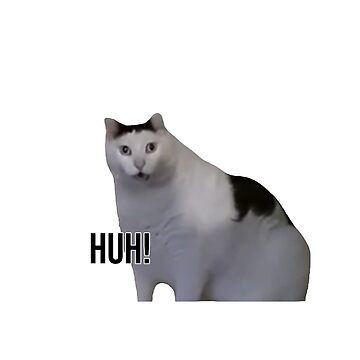 "Huh cat with text" Sticker for Sale by rbuser4 | Redbubble