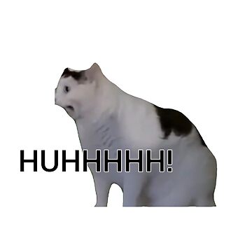 "Huhhhhh! Cat meme side on with text" Sticker for Sale by rbuser4 ...