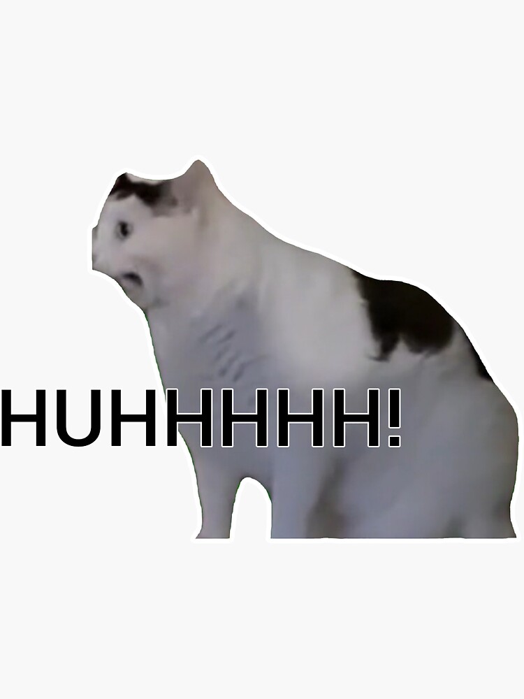 "Huhhhhh! Cat meme side on with text" Sticker for Sale by rbuser4 ...
