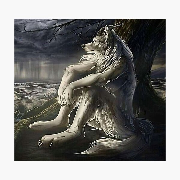 "Lone Sigma Wolf " Photographic Print for Sale by sigmawears | Redbubble